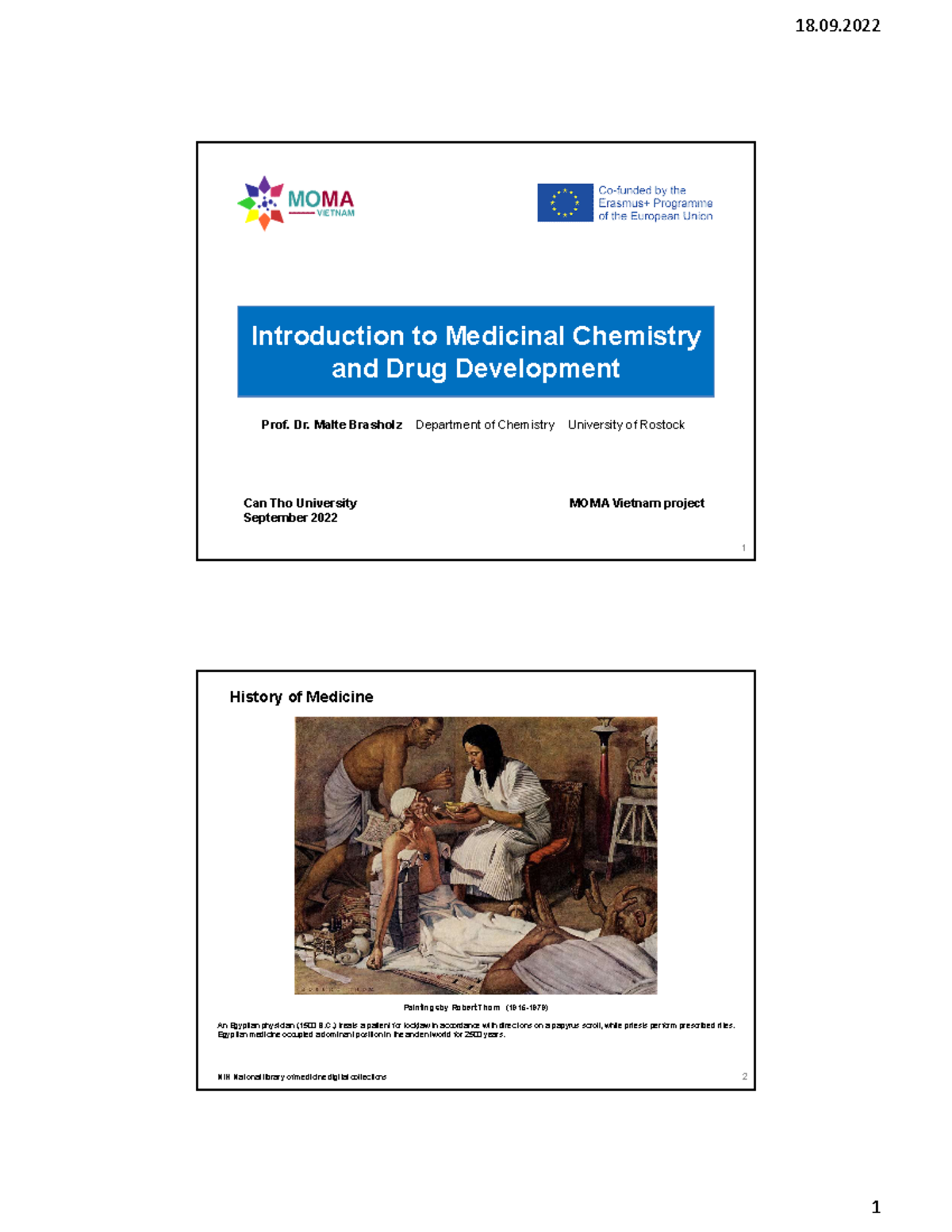 Introduction to Medicinal Chemistry and Drug Development - MOMA 2022 ...