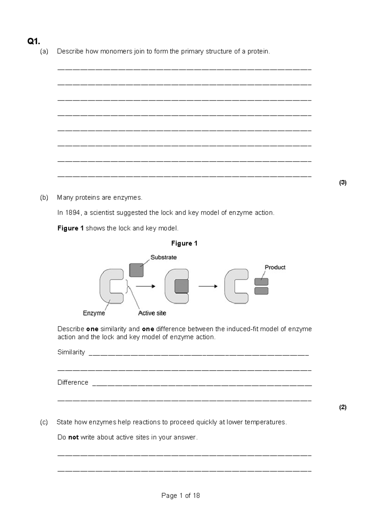 Factors Affecting Enzymes: Exam Questions (Biology 101) - Studocu