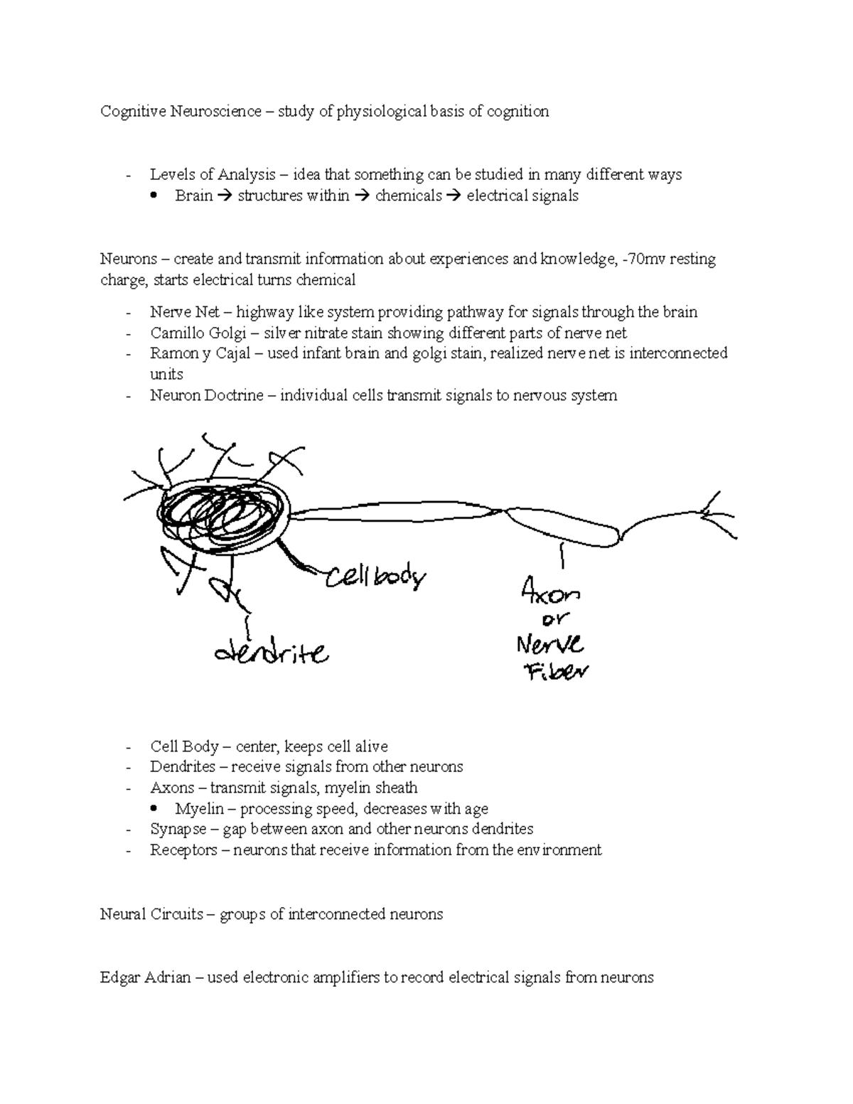 Cognitive Neuroscience (CNS 101): Overview of Neural Mechanisms and Functions - Studocu