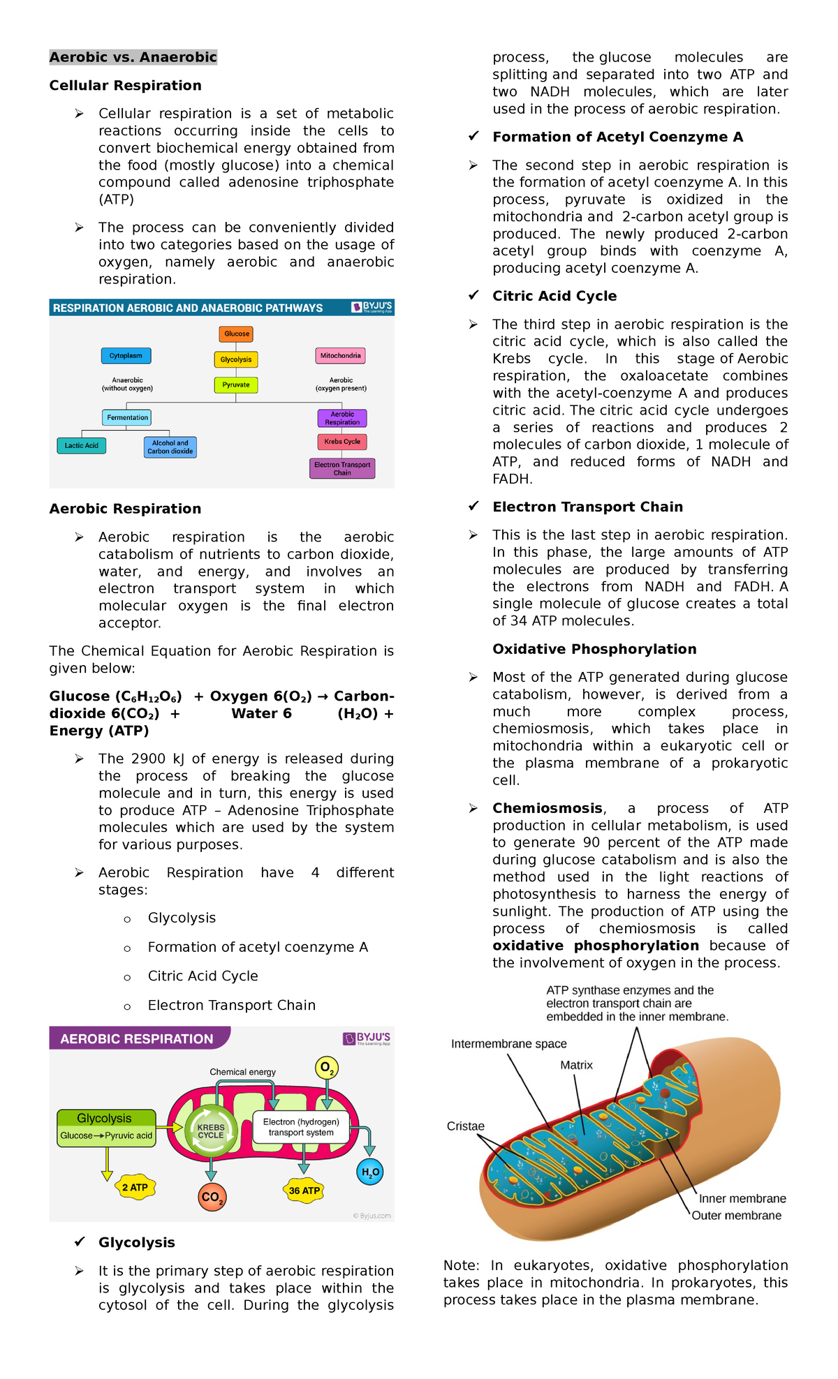 Genbio q2 aerobic vs. anaerobic - Aerobic vs. Anaerobic Cellular Respiration Cellular ...