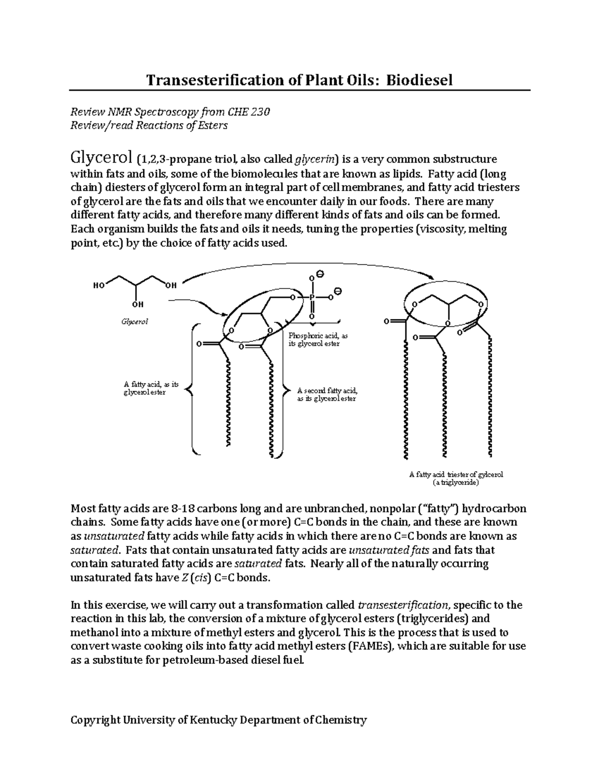 Transesterification of Plant Oils: Biodiesel Lab Guide for CHE 230 ...