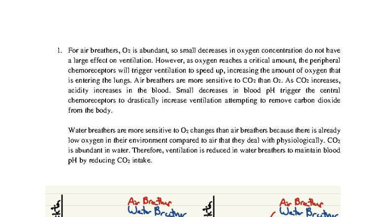 Air vs Water Breathing: Physiological Differences in O2 and CO2 ...