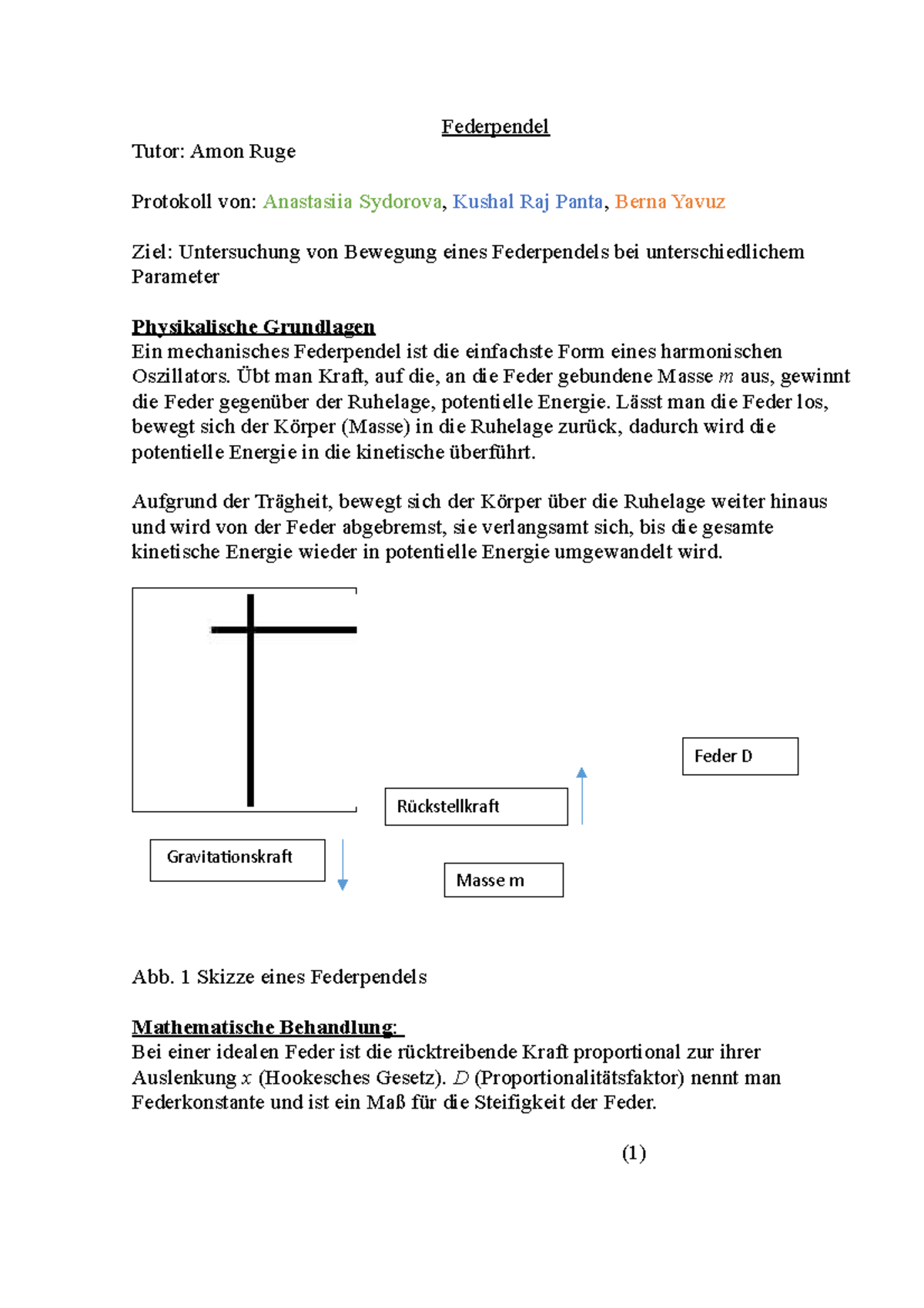 NP Physik Praktikum Federpendel - Federpendel Tutor: Amon Ruge ...