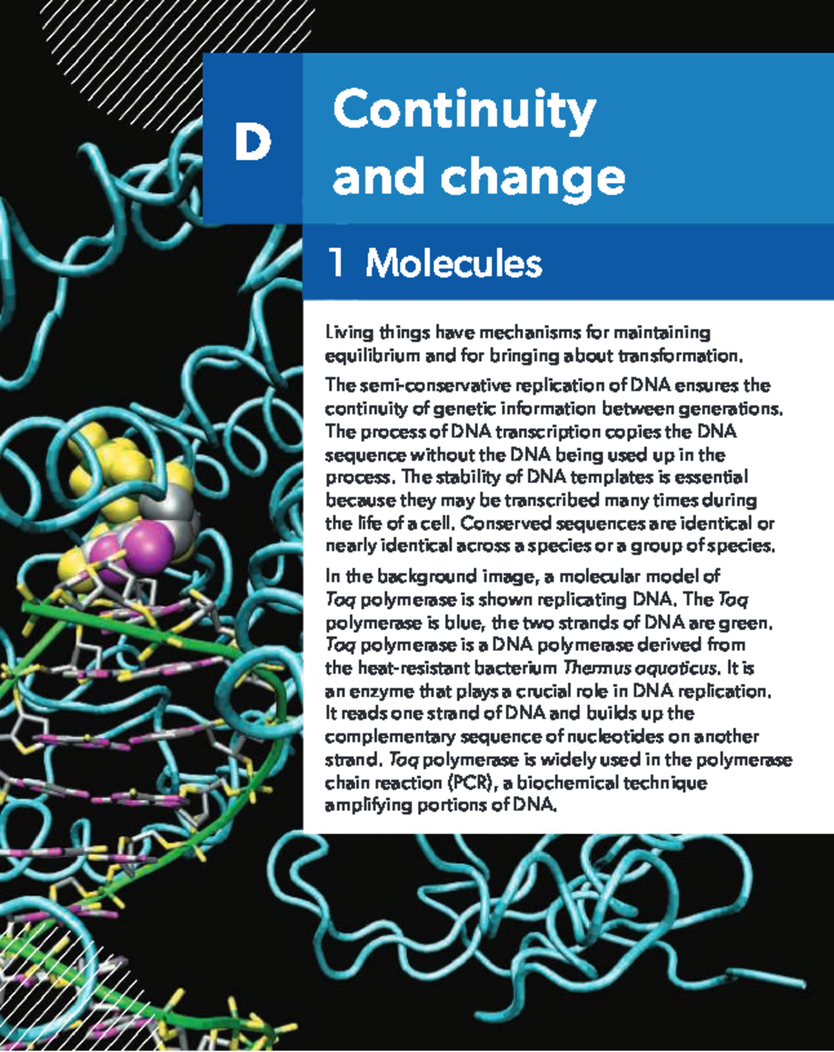 Chapter D1.1: DNA Replication and the Role of Taq Polymerase - Studocu