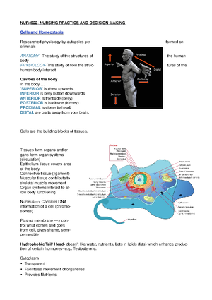 Ch07 framework quantitative - Holland & Rees: Nursing: Evidence-Based ...