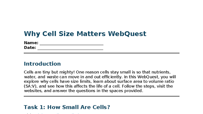 Cell Size Matters WebQuest: Exploring SA:V Ratio and Cell Function ...