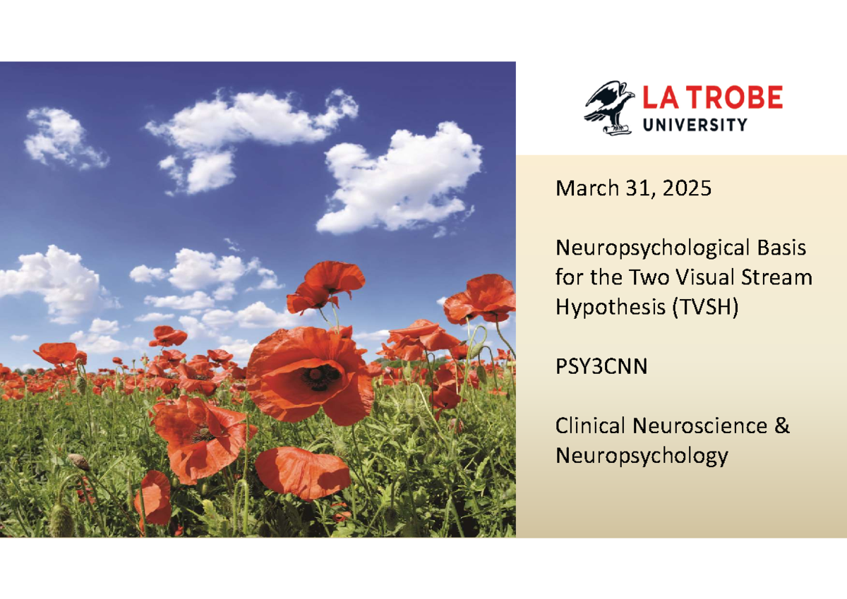 Neuropsychological Basis for Two Visual Stream Hypothesis (PSY3CNN ...