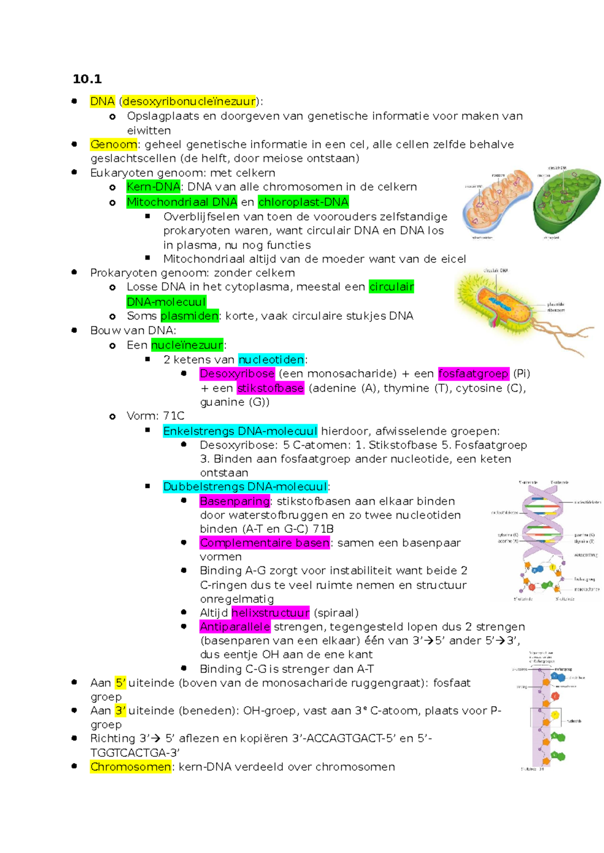 Samenvatting Thema 10: DNA, RNA en Genregulatie in Biologie 71A ...