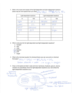 [Solved] homoplasmy explained - General Biology I (BIOL 112) - Studocu