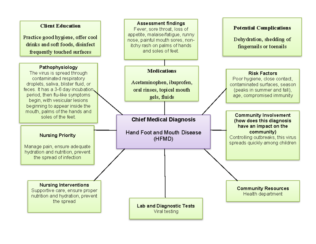 Concept Map - HFMD: Client Education & Nursing Interventions - Studocu