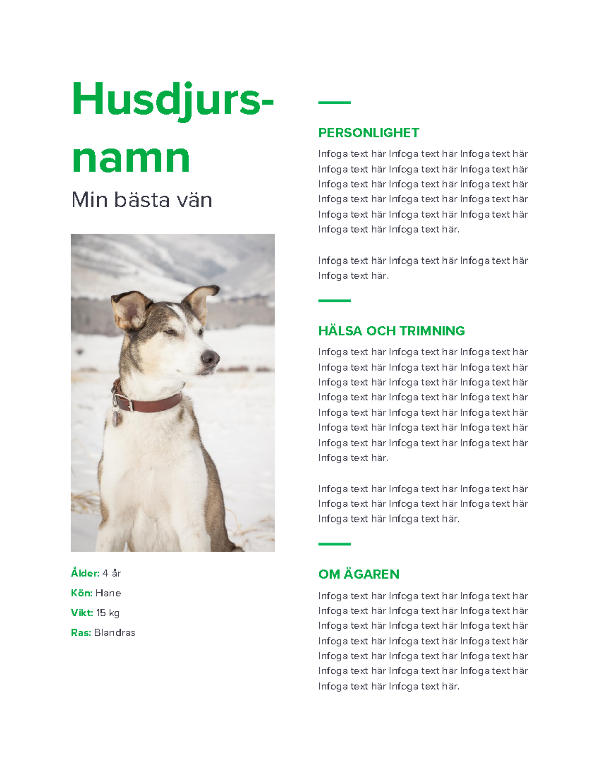 Husdjurspresentation: Min bästa vän - 4 år, Blandras - Studocu
