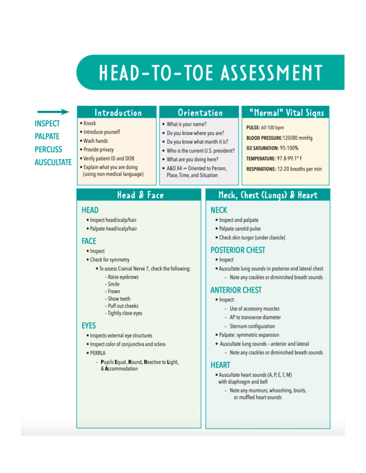 NUR 101: Head-to-Toe Assessment Guide for Vital Signs - Studocu