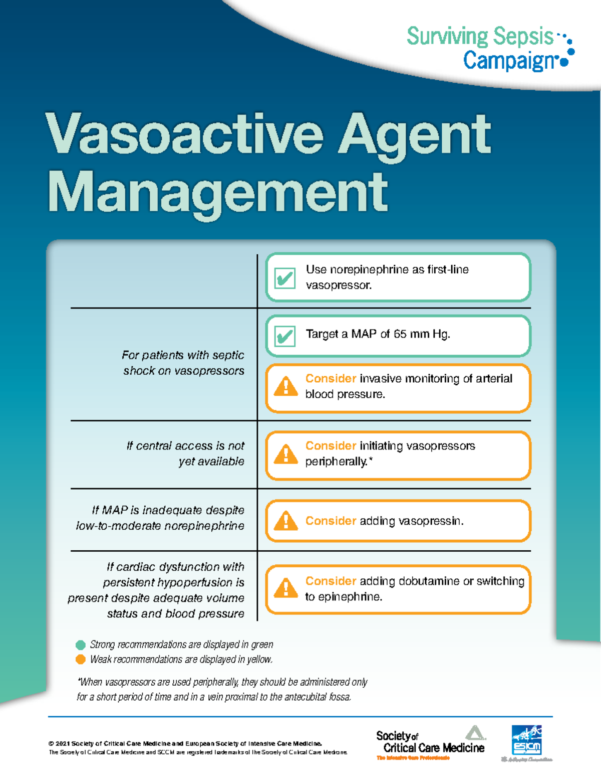 Surviving Sepsis Campaign 2021 Guidelines: Vasoactive Agents - Studocu