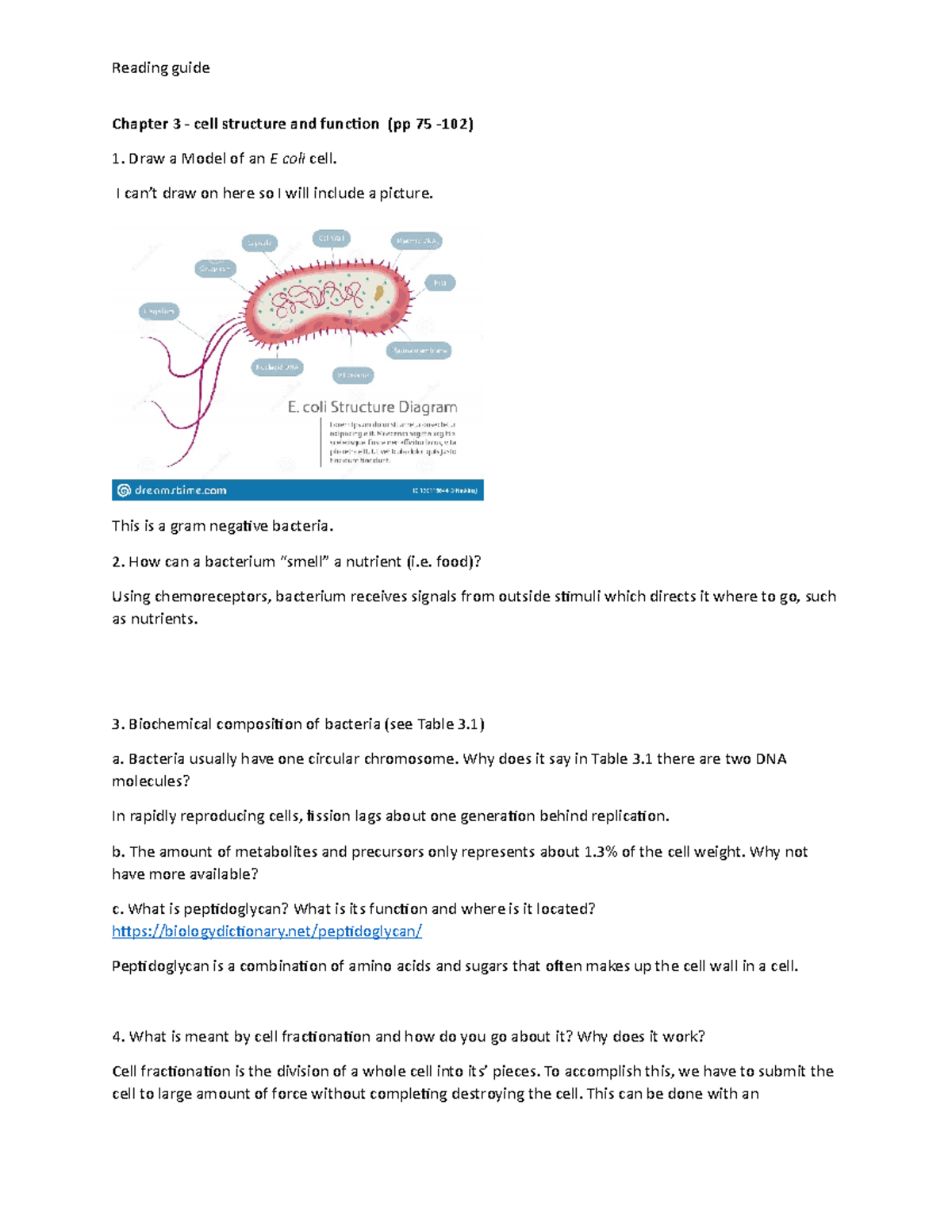 Chapter 3 reading guide cell structure and function - Reading guide ...