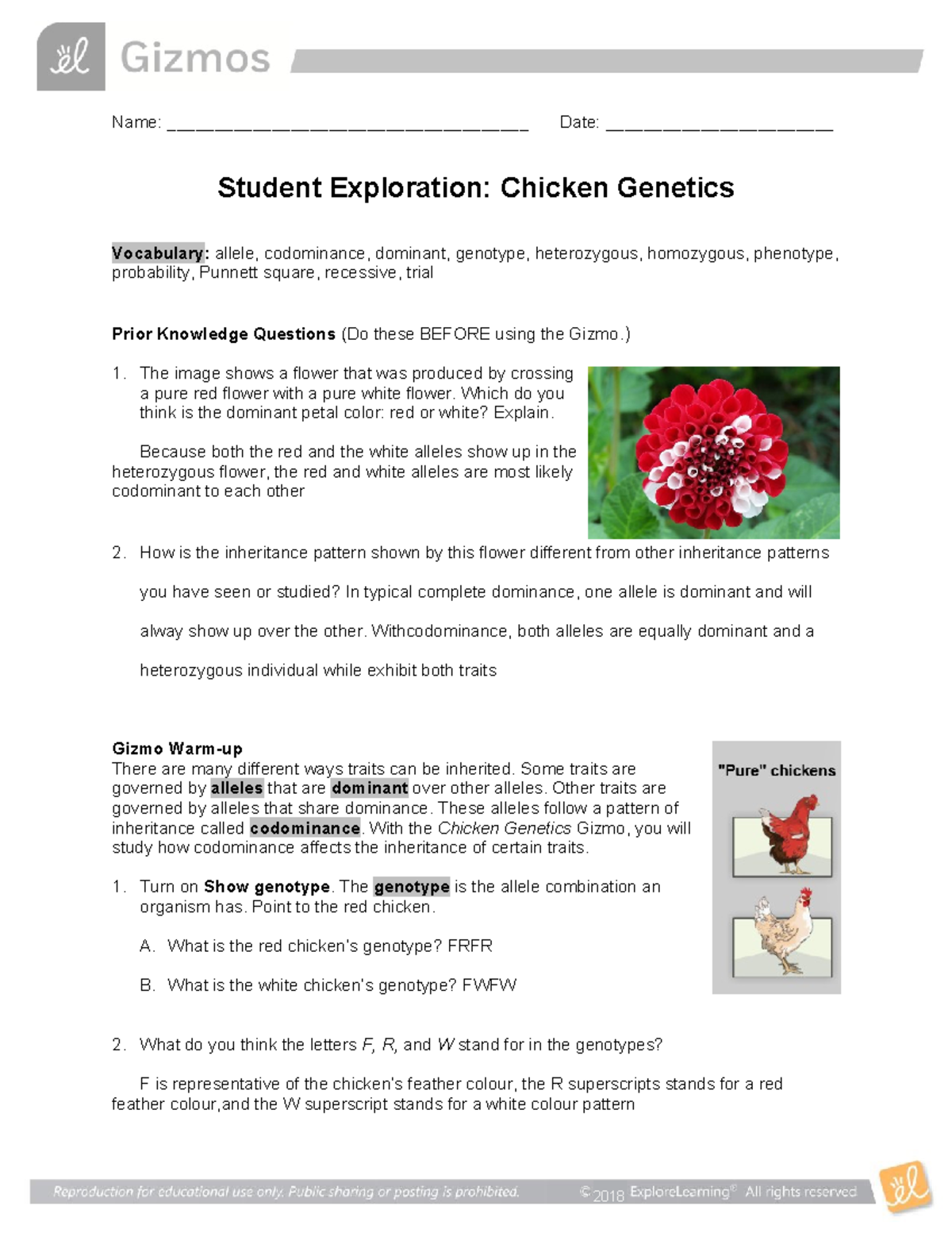 Chicken Genetics SE Gizmo: Exploring Codominance and Inheritance Patterns - Studocu