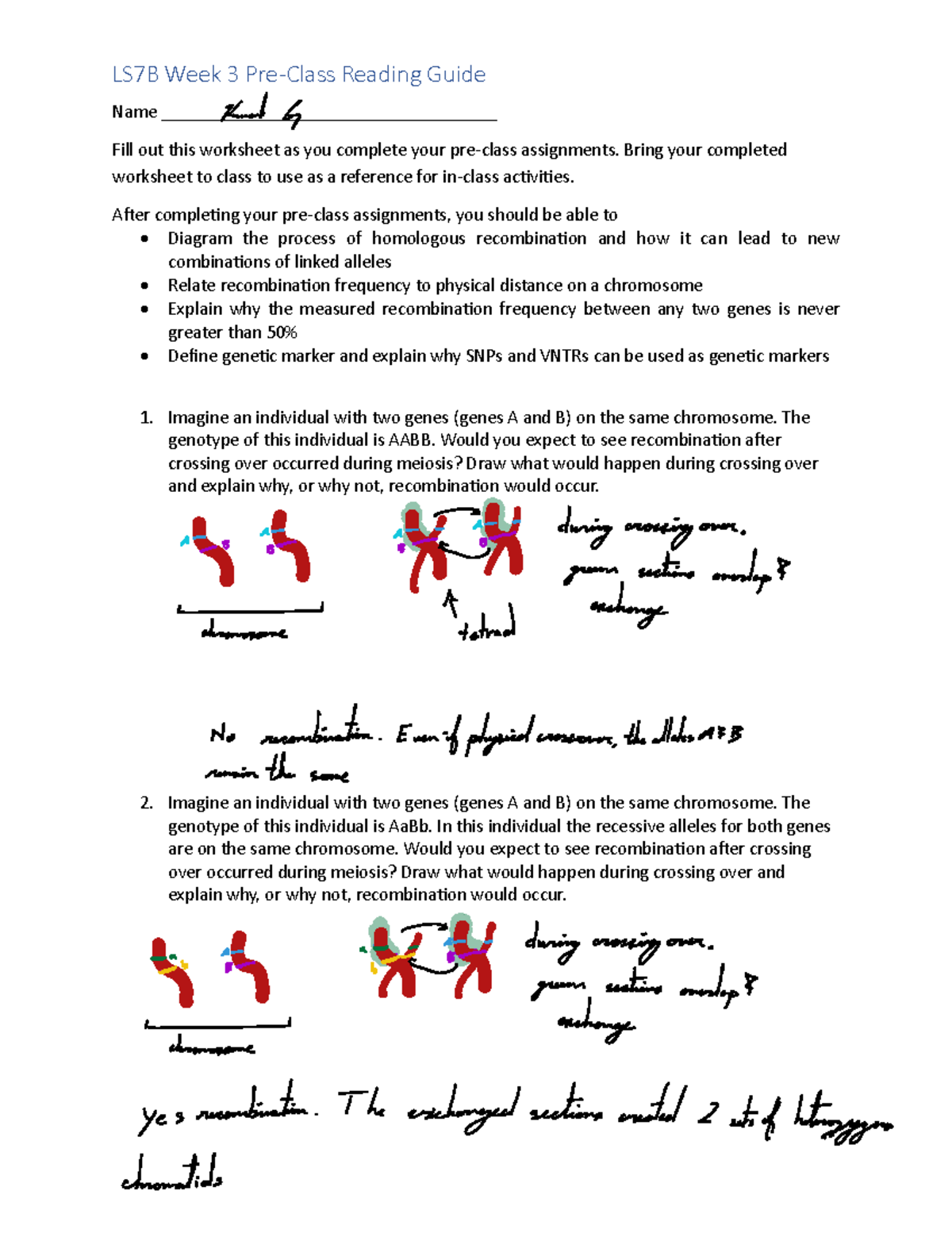 LS7B Week 3 Reading Guide: Homologous Recombination & Genetic Markers ...