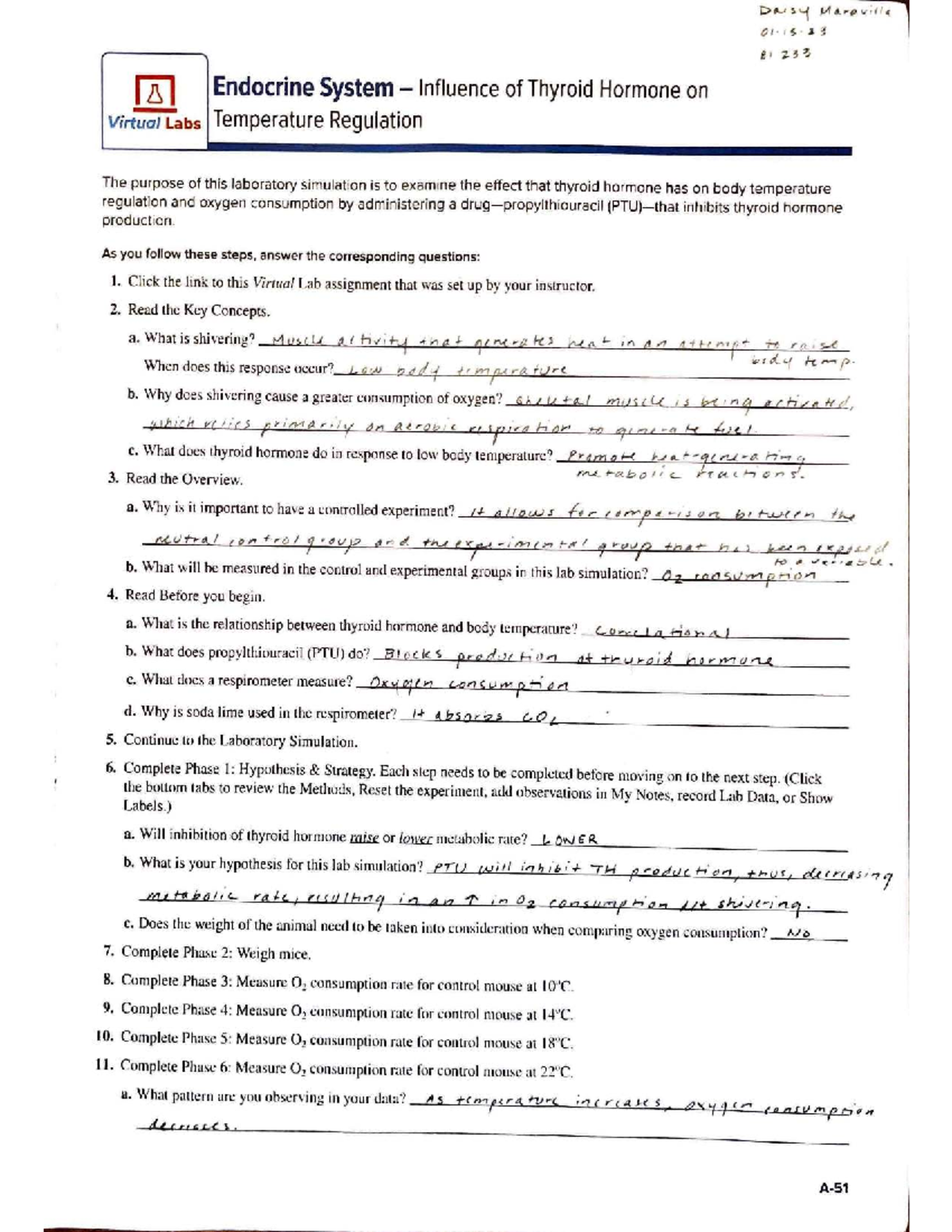 Virtual Lab: Endocrine System (81233) - Thyroid Hormone & Temp ...