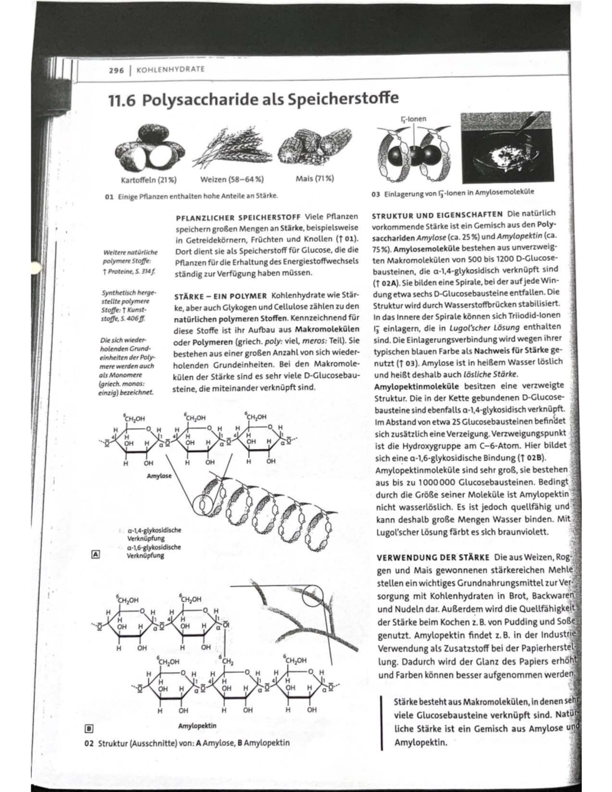Polysaccharide als Speicherstoffe: Chemie Q2 - Einblicke und ...
