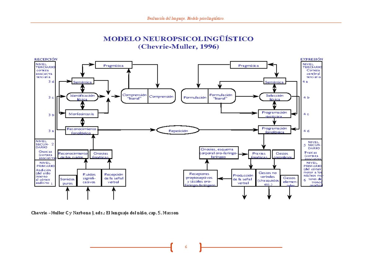 Modelo Neuropsicolingüístico de Chevrie-Muller: Análisis del Lenguaje ...