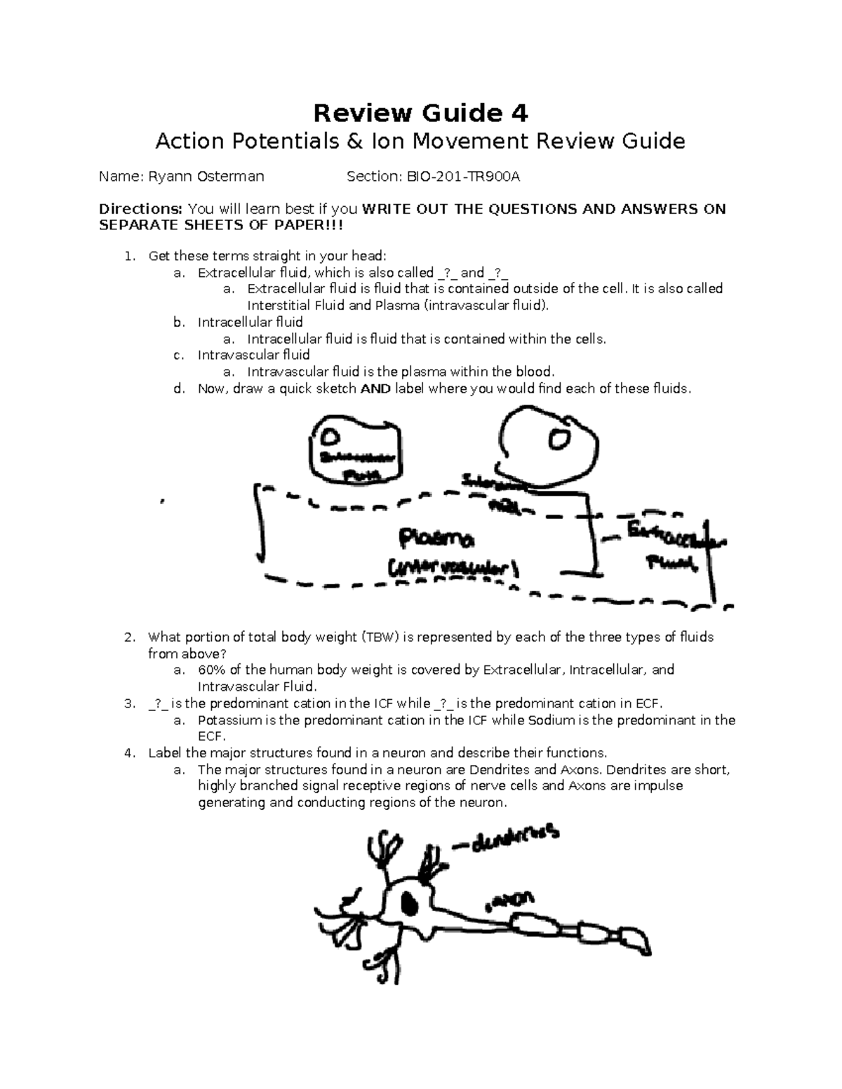 Review Guide 4 Ions, Actional Potential, and Electrolytes 2 - Review ...