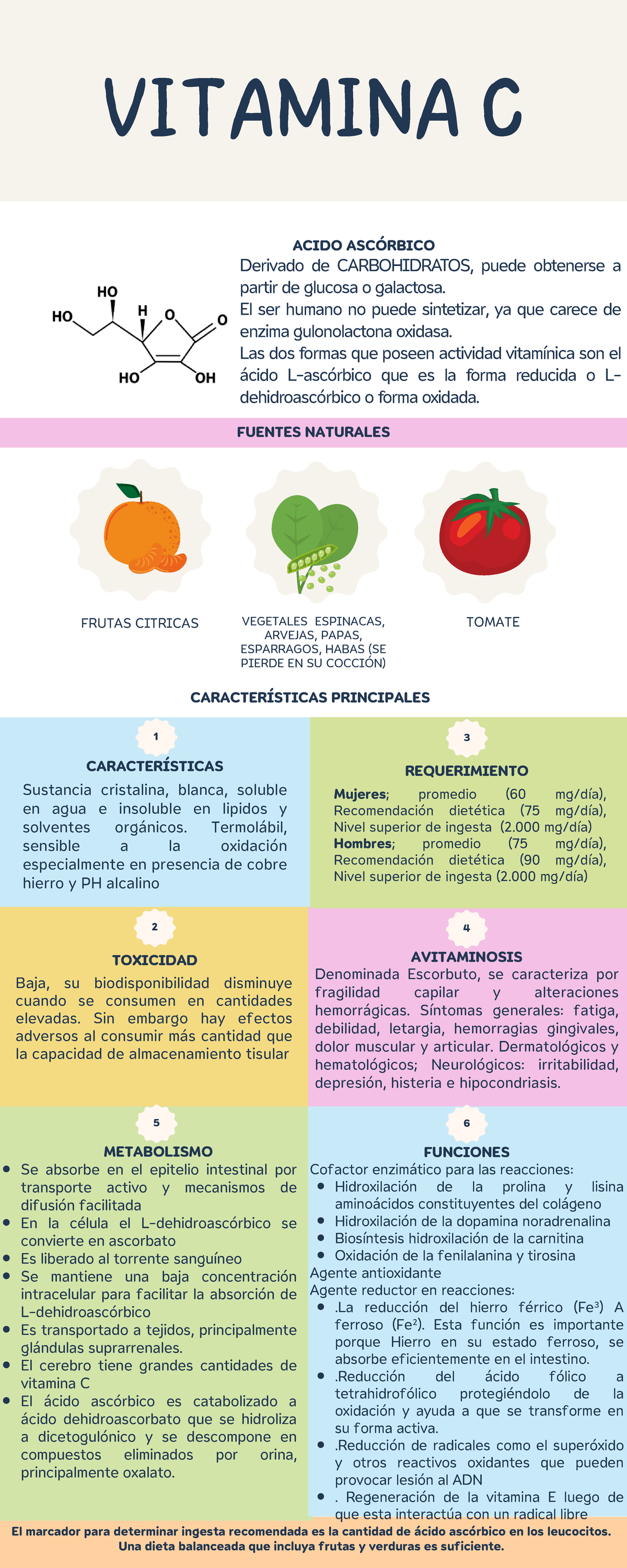 Infografía sobre Vitamina C: Funciones y Requerimientos Nutricionales ...