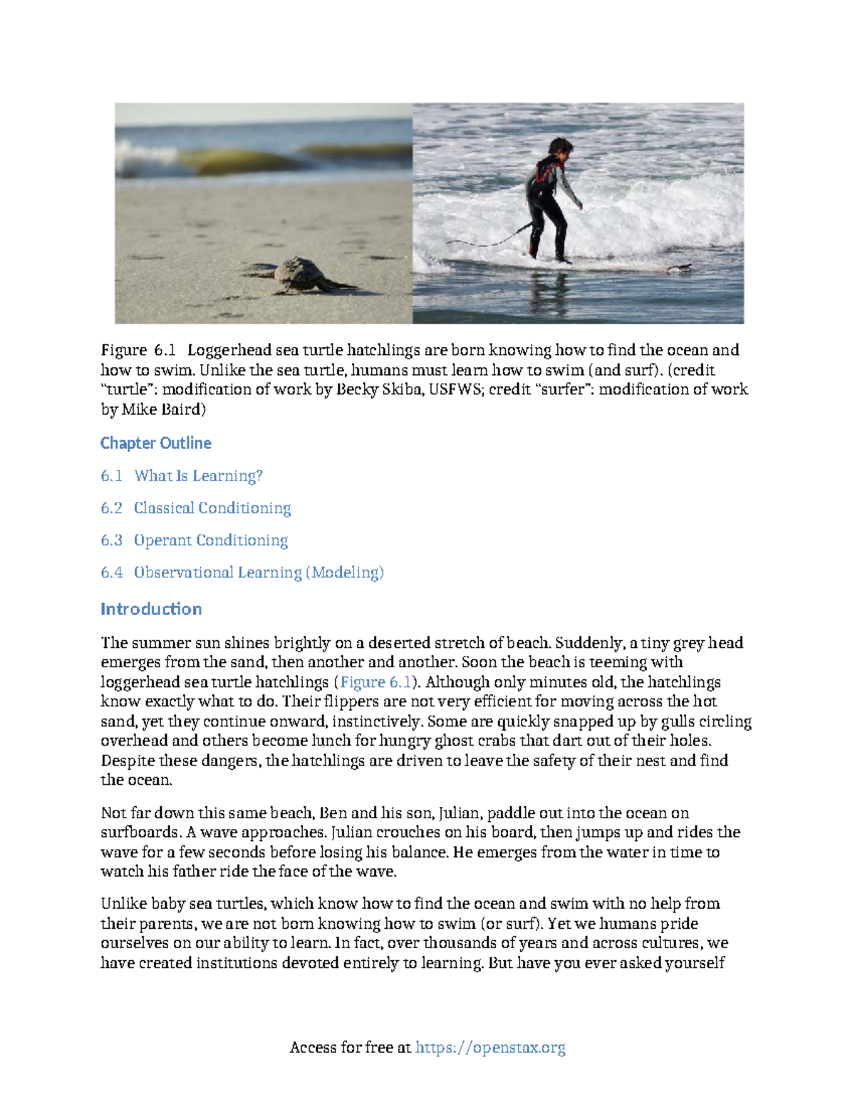 Learning Processes: Classical Conditioning, Operant Conditioning ...