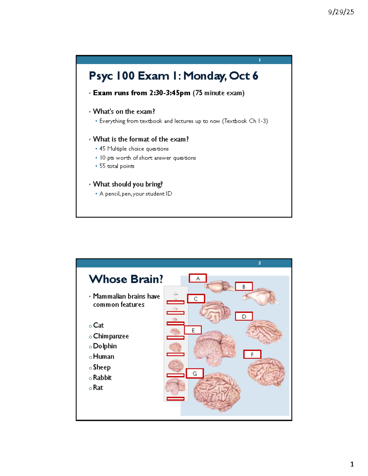 Psyc 100 Exam 1 Review: Neuroscience Insights (03 Ch3) - Studocu
