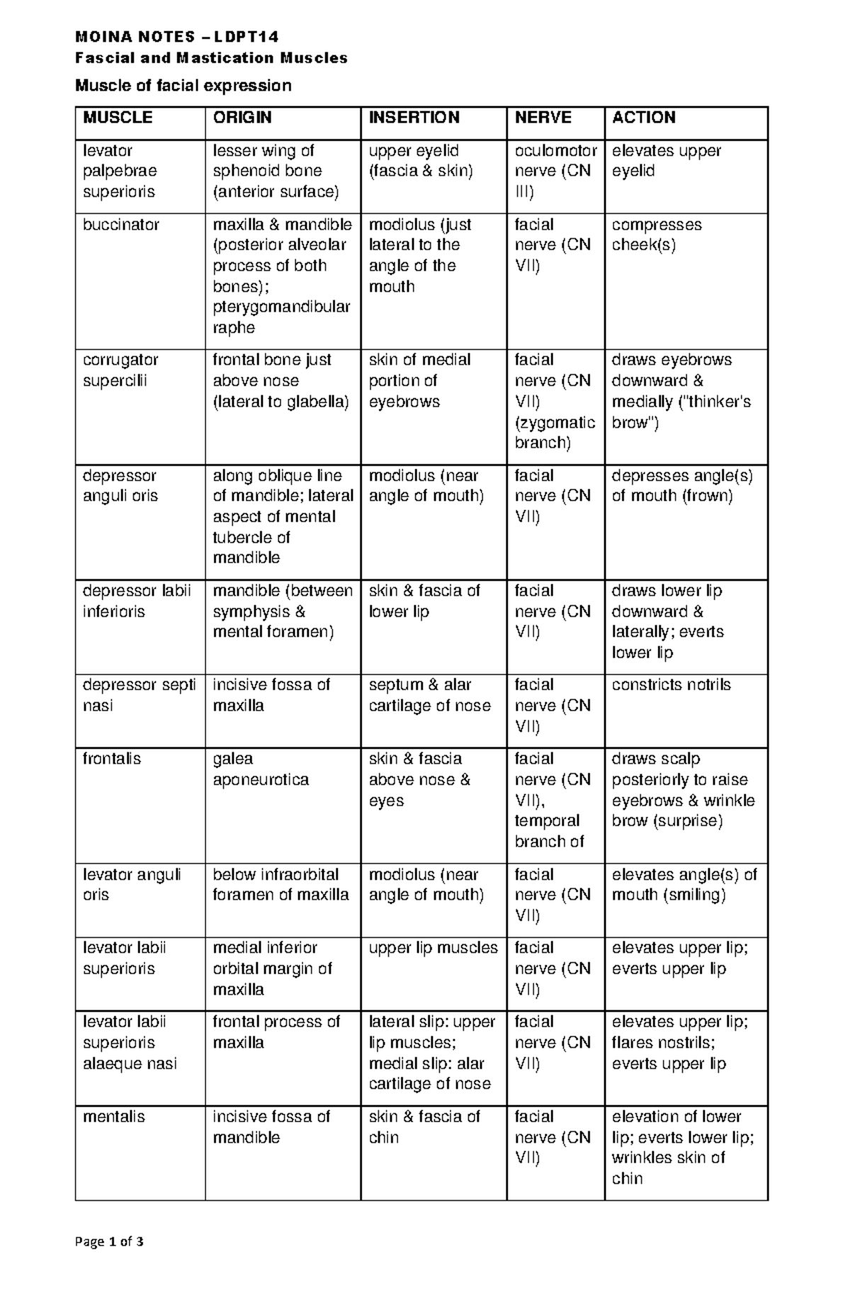 Fascial and Mastication Muscles - MOINA NOTES – LDPT Fascial and ...