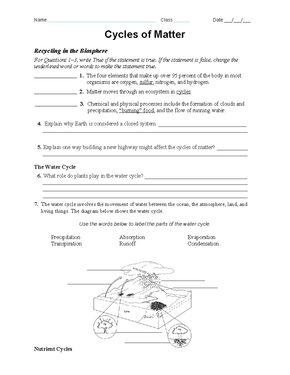 Cycles of Matter Worksheet for Biology 101: Ecosystem Interactions ...