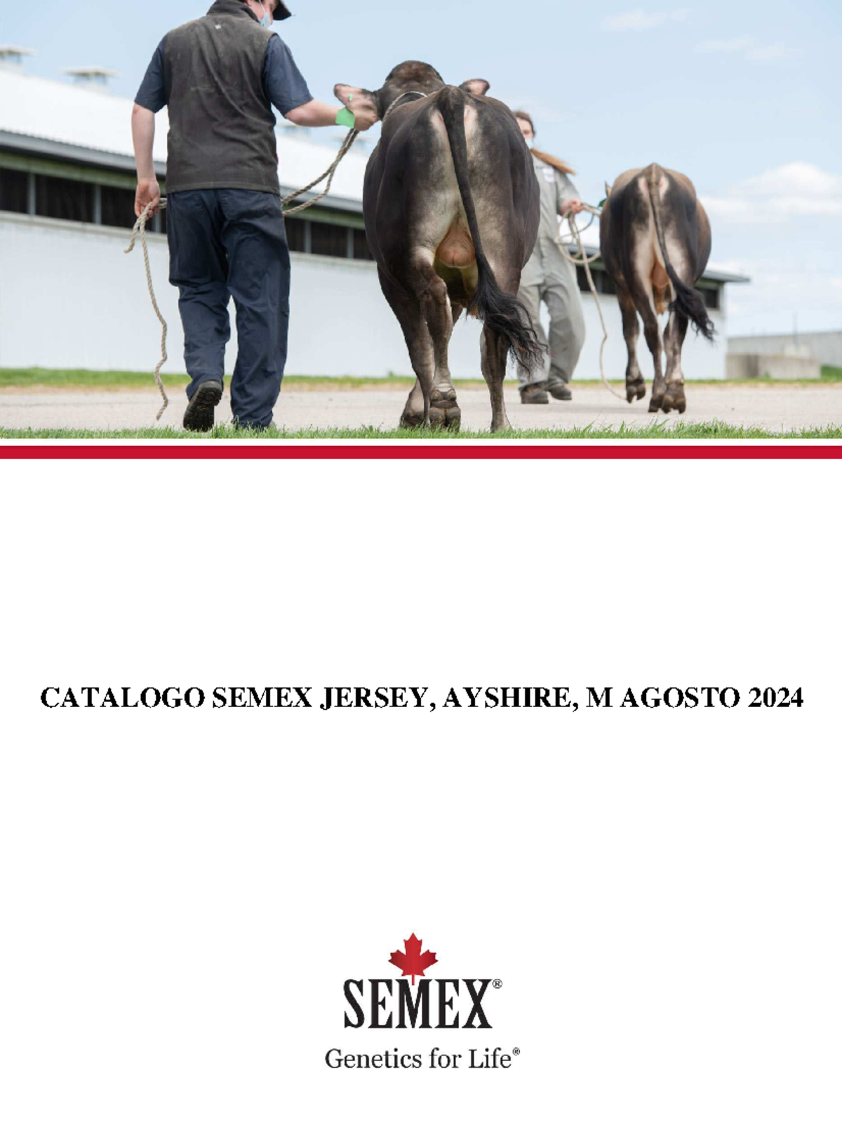 Catalogo Semex Jersey, Ayshire, MS - Agosto 2024 (Actualizado) - Studocu