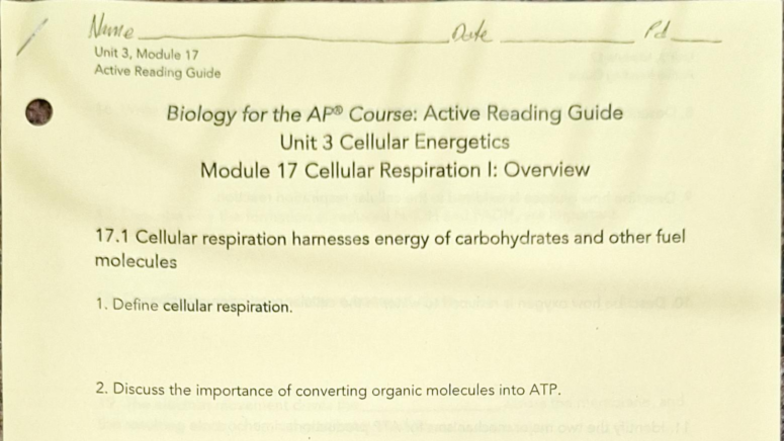 Unit 3 Active Reading Guide: Cellular Respiration (Modules 17 & 18 ...
