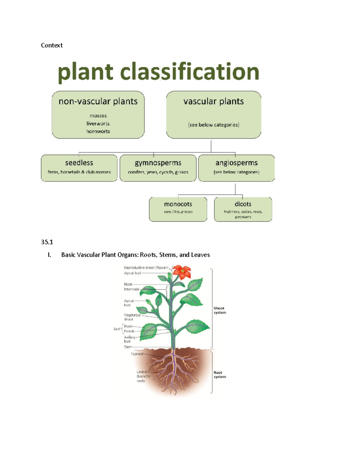 BIO11 LE2 Final Exam Notes on Vascular Plant Structure and Function ...