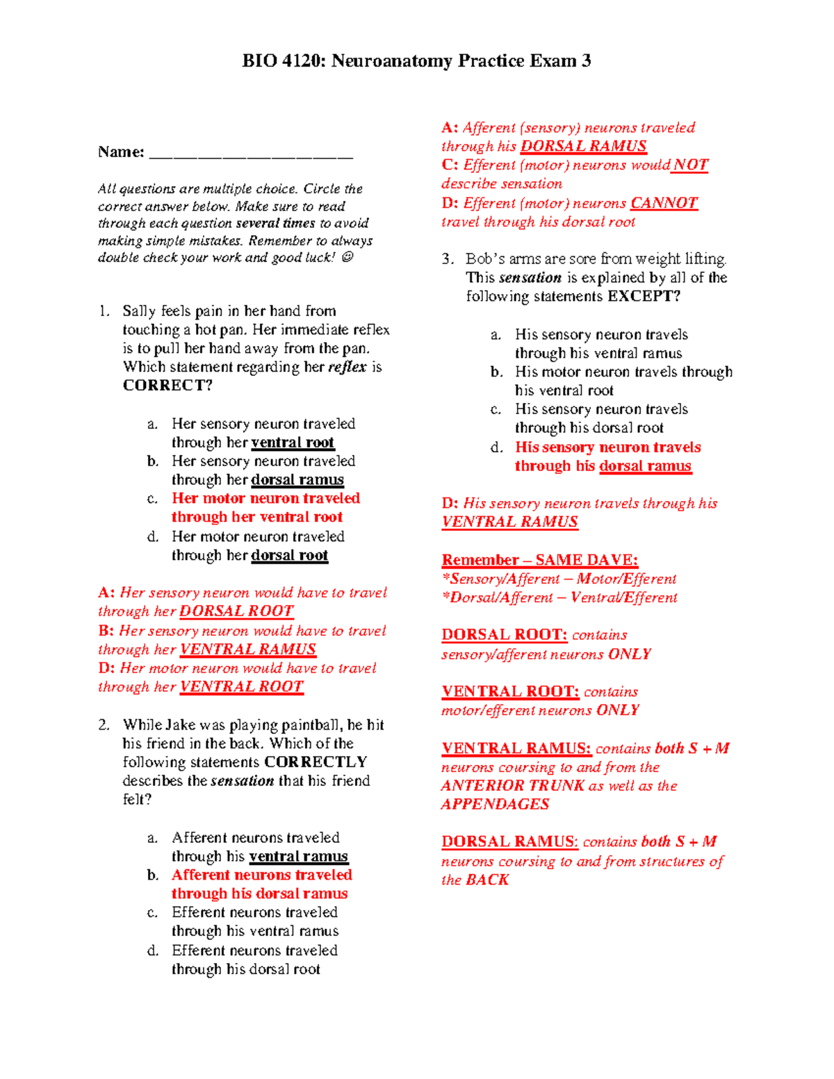 Neuro Practice Exam 3 (Answer Key) - JM - BIO 4120: Neuroanatomy ...