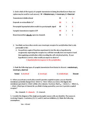 Visual Pathway Chart - RGC Type LGN Type LGN Layers V1 Layers Function ...