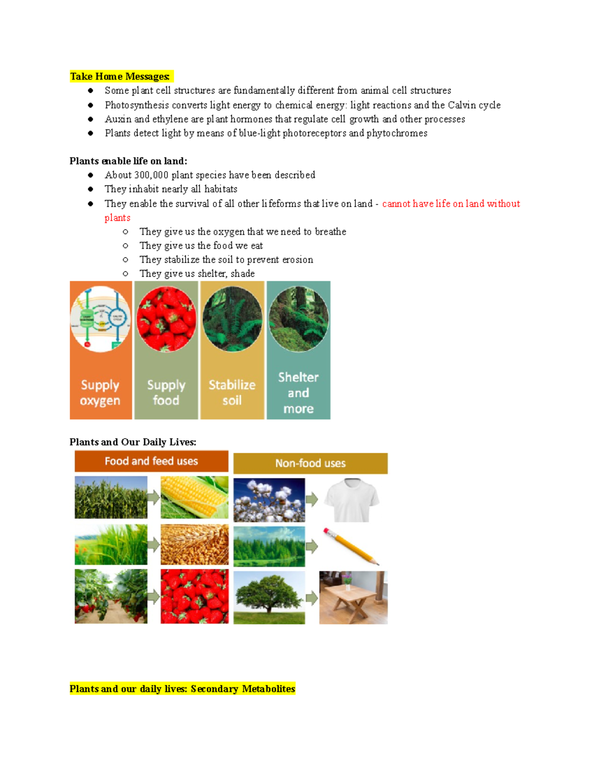 Lecture 9: Key Concepts and Takeaways on Plant Biology - Studocu