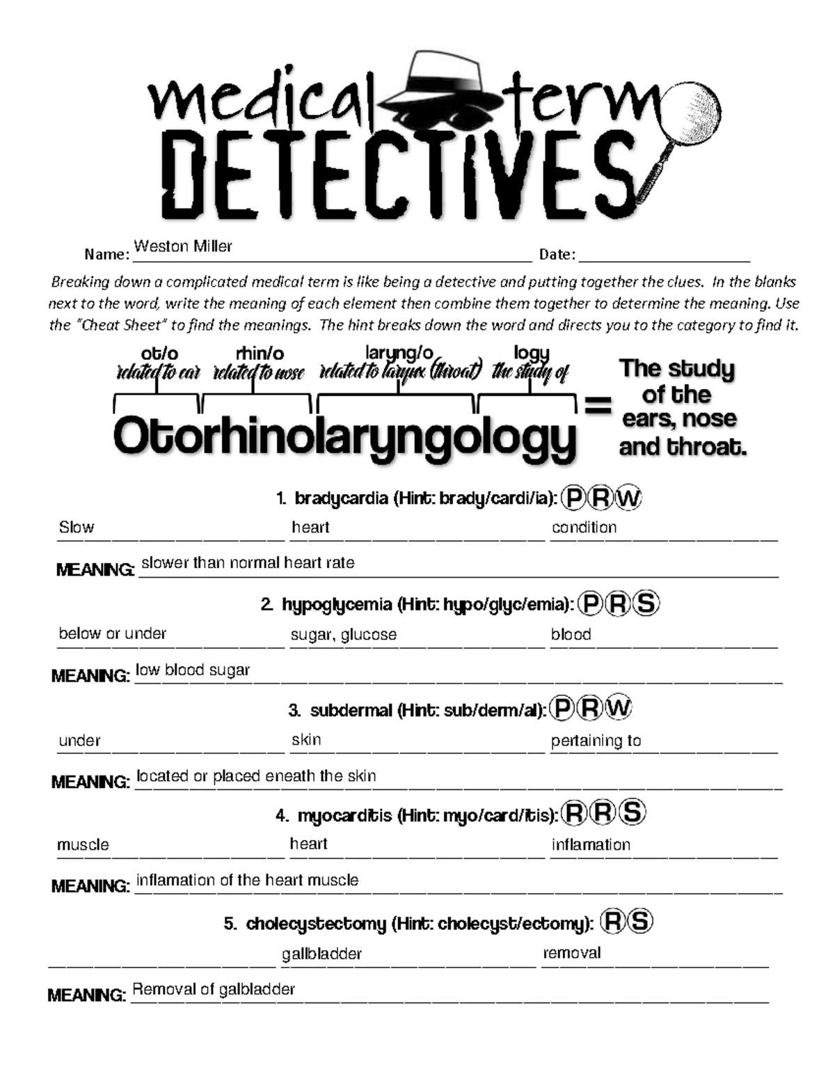 EHR 5 - Knowledge Activity on EHR Documentation Standards - Studocu