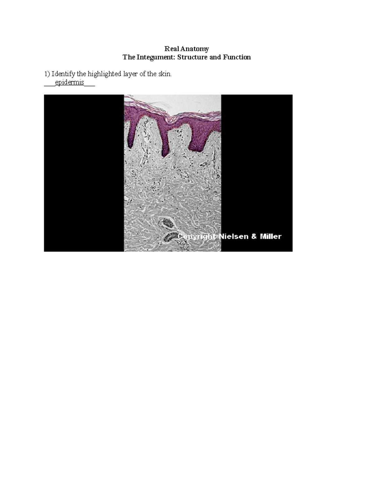 03 BIOL 101: Integument Structure & Function Answer Key - Studocu