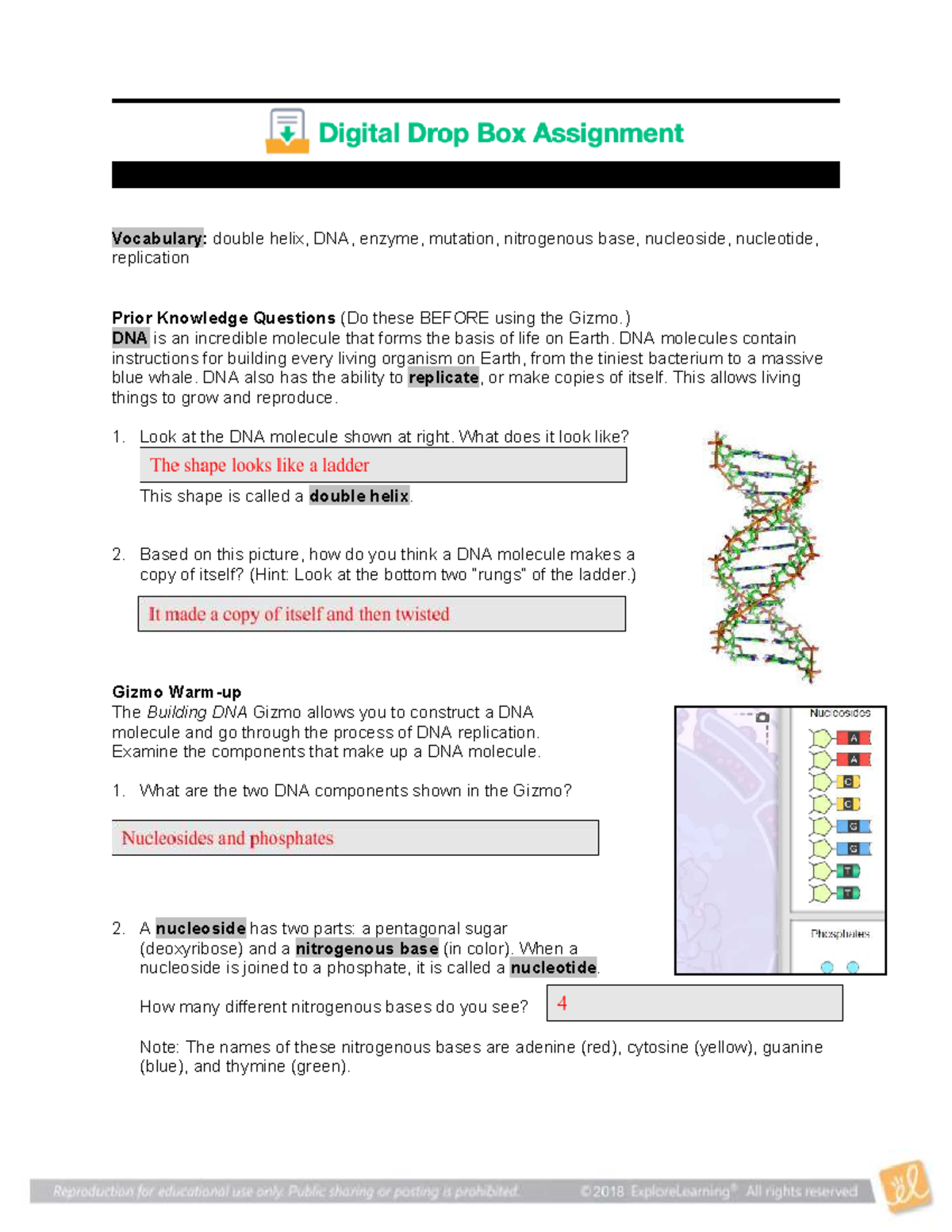 U4 Gizmos Lab: Building DNA & Understanding Replication Concepts - Studocu