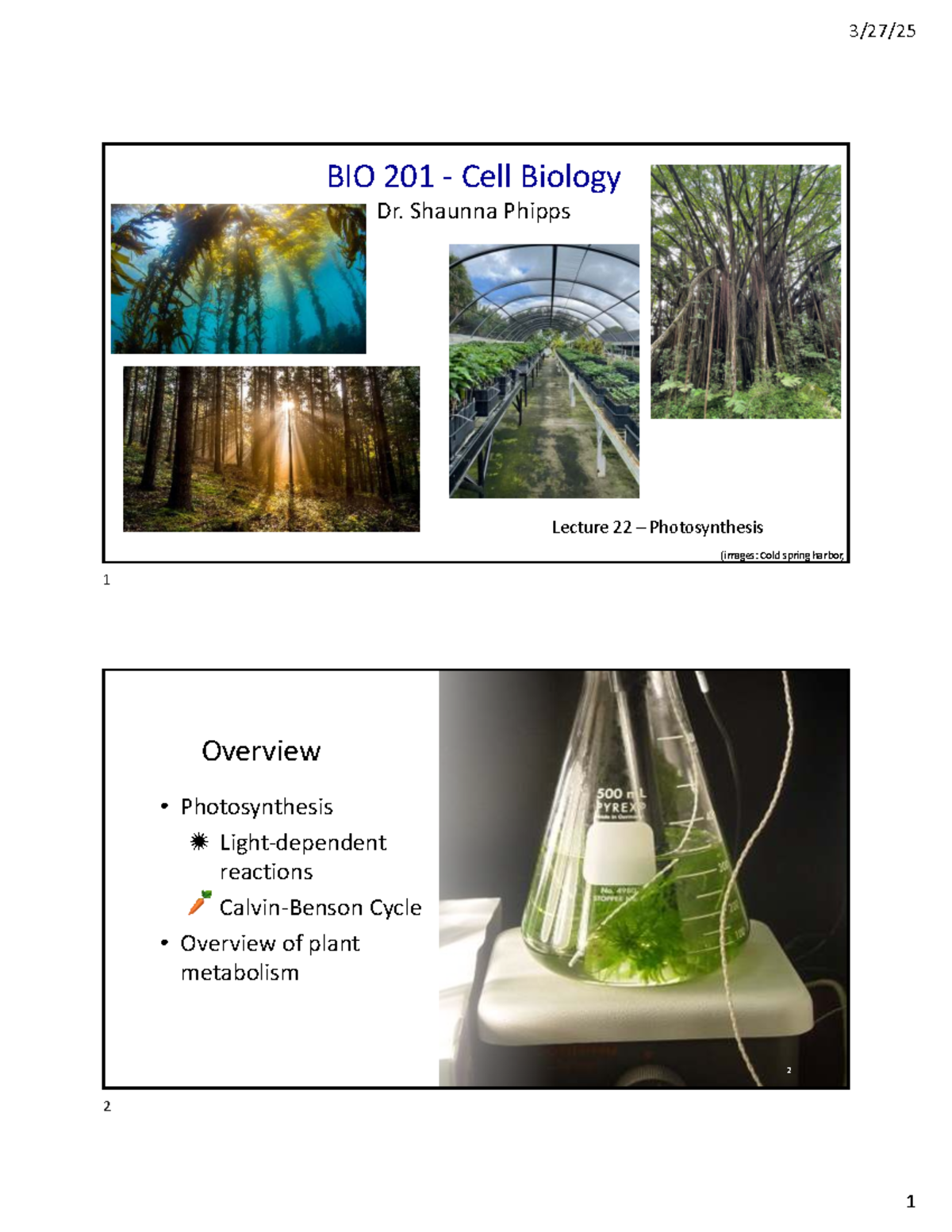 BIO201 Lecture 22: In-depth Analysis of Photosynthesis Mechanisms - BIO ...