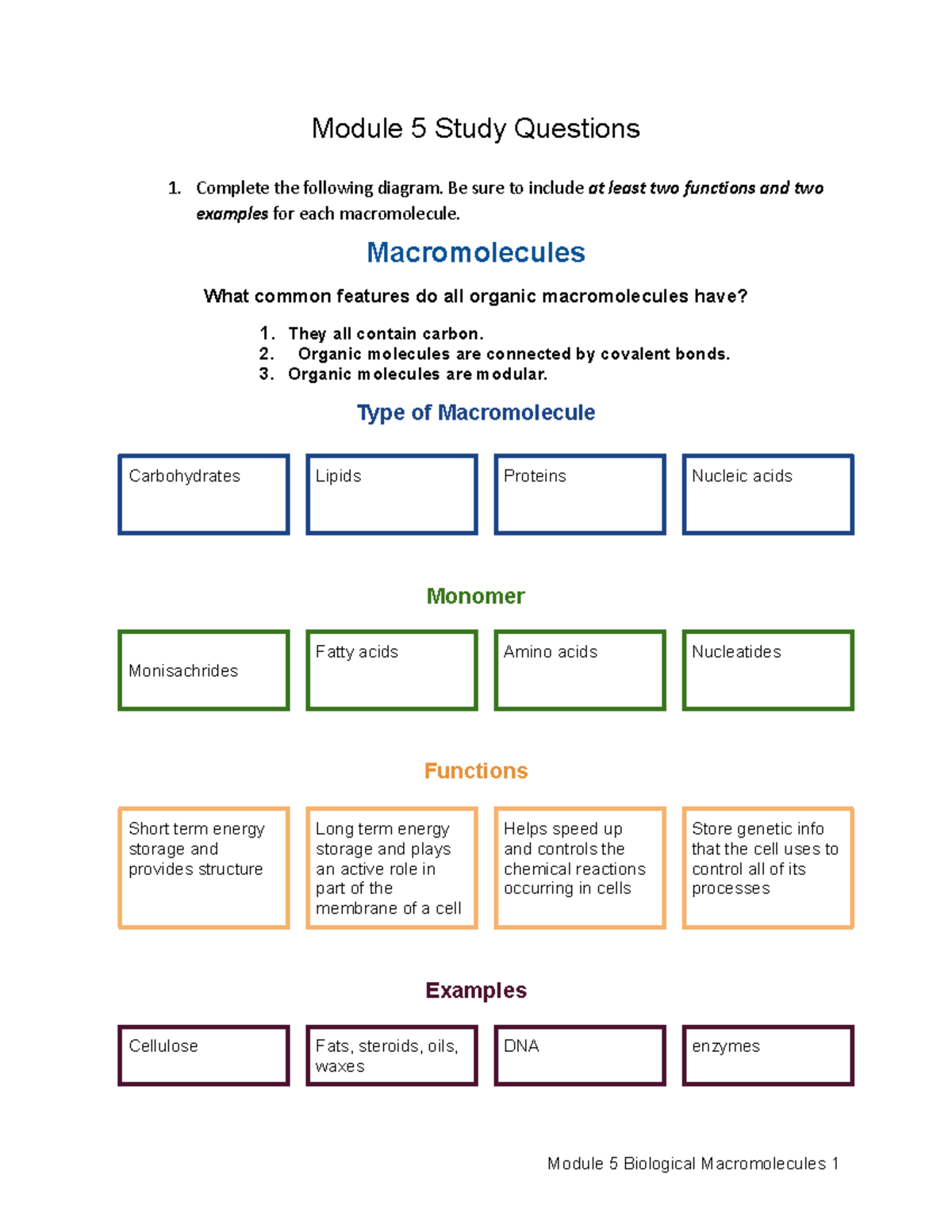 Module 5 Study Questions - Module 5 Study Questions 1. Complete the following diagram. Be sure ...