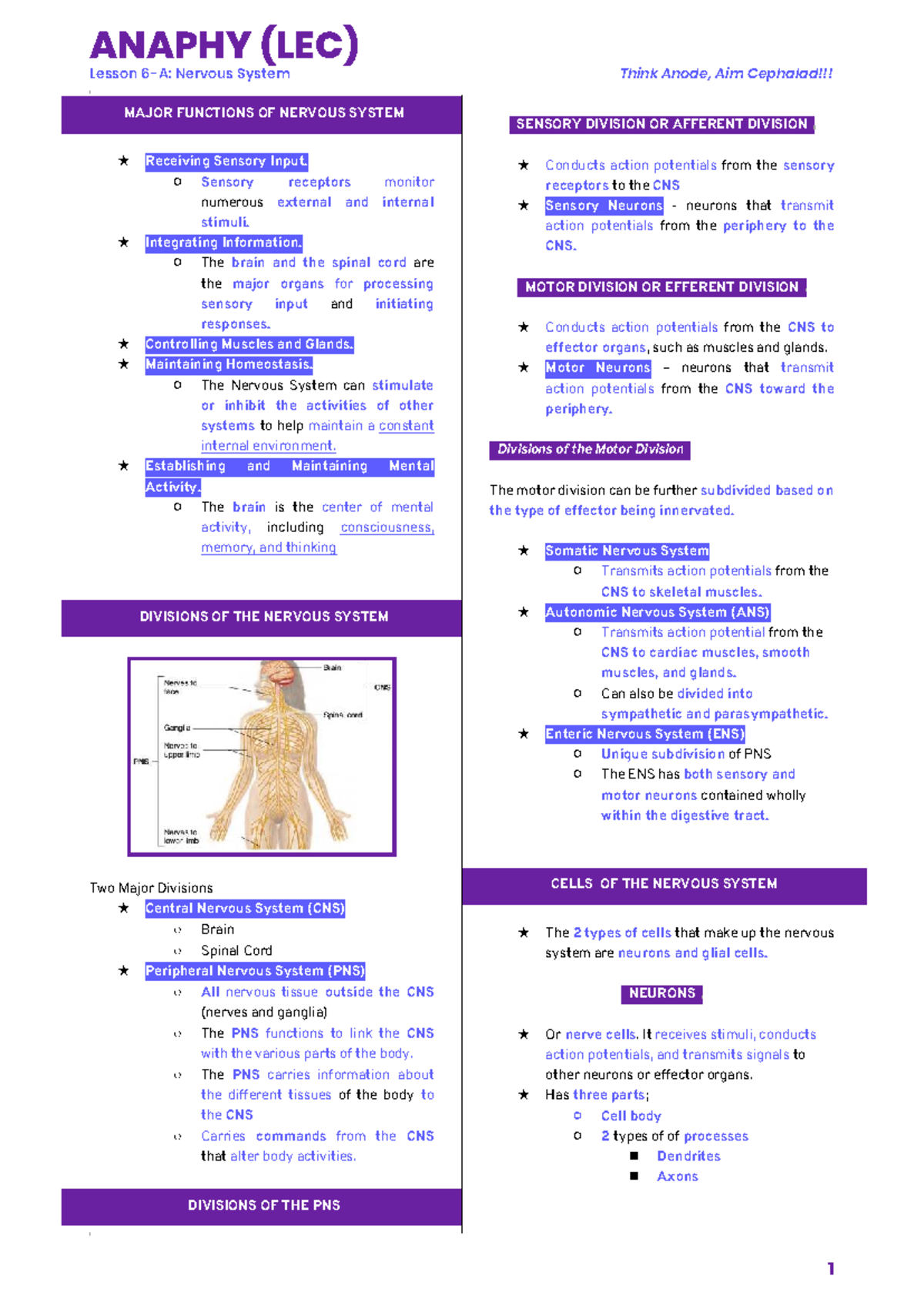 ANAPHY (LEC) Midterm Lesson 6: Major Functions of the Nervous System ...