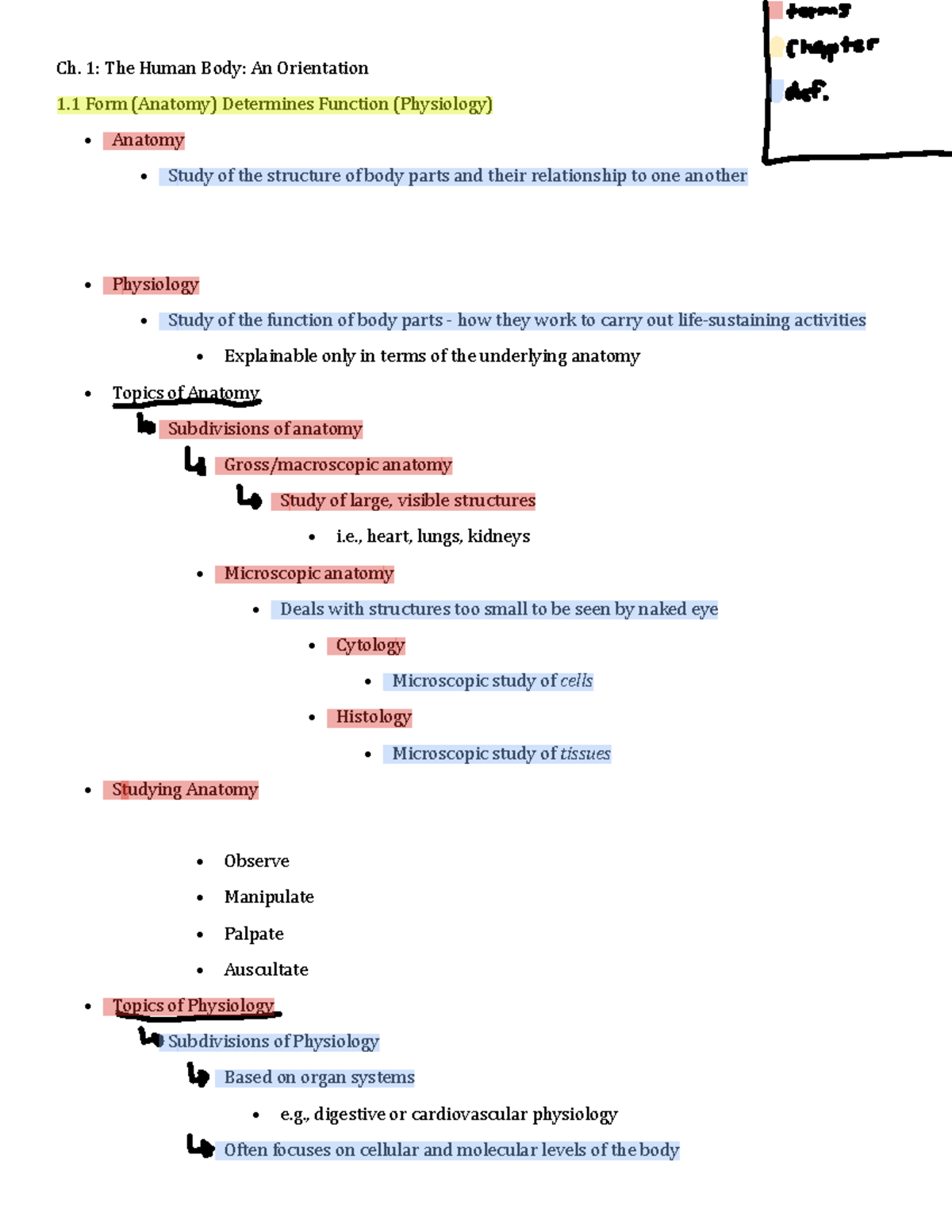Ch. 1: The Human Body - Organization, Homeostasis & Anatomy - Studocu