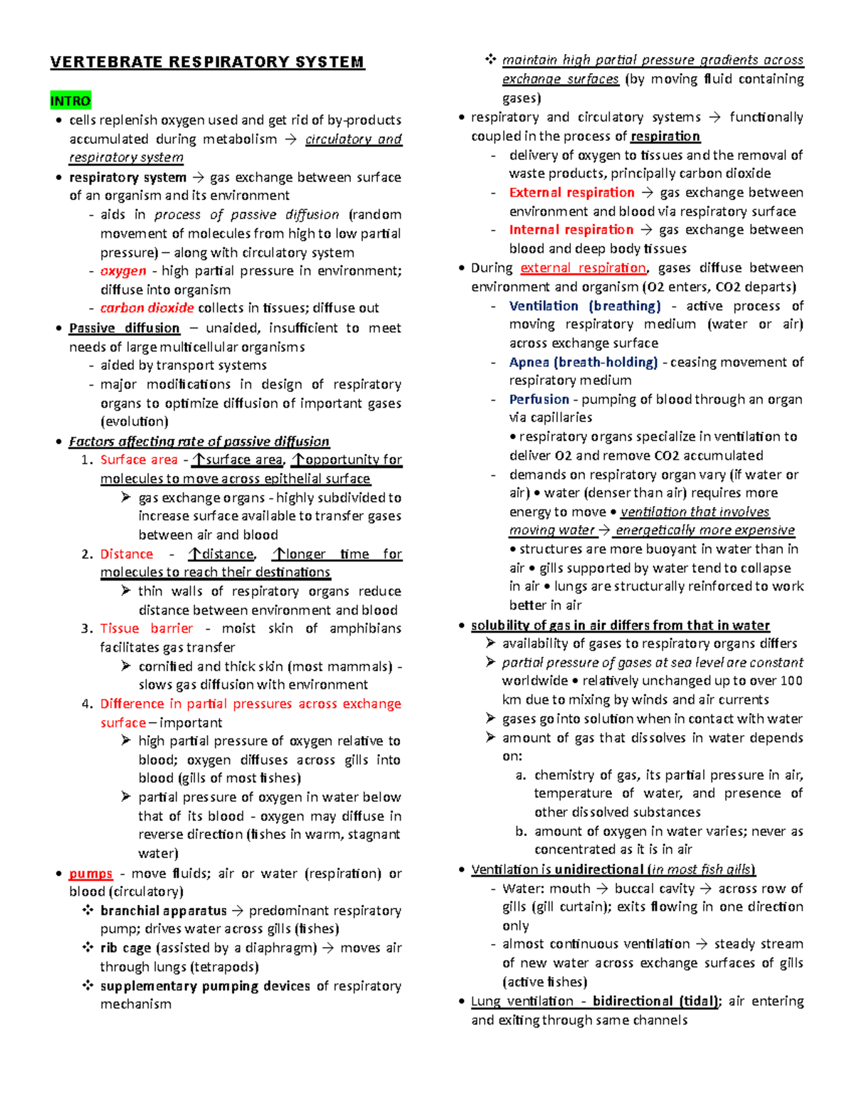 Vertebrate Respiratory System: Key Notes and Evolutionary Insights ...