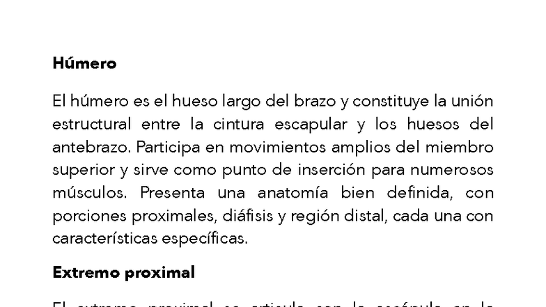 Húmero: Anatomía y Funciones del Hueso del Brazo - APUNTEEEE - Studocu