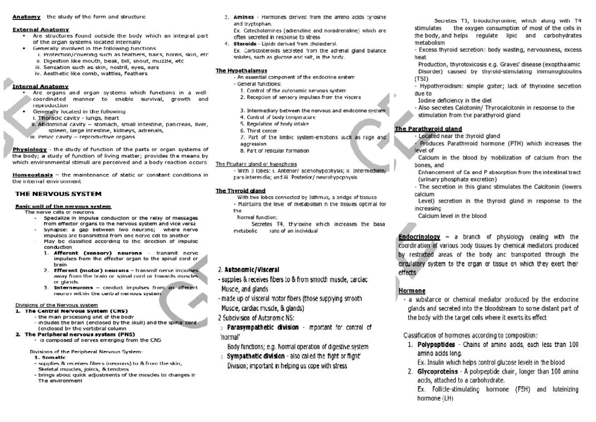Animal Science - Anatomy and Endocrinology Review Notes - Studocu