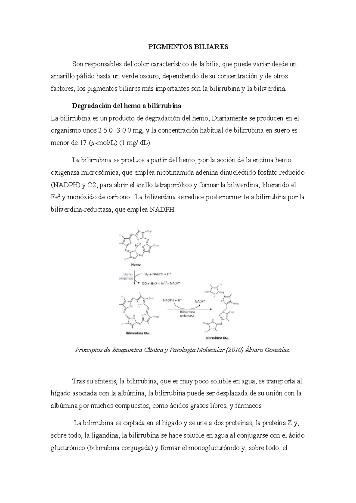 Pigmentos Biliares - PIGMENTOS BILIARES Son responsables del color ...