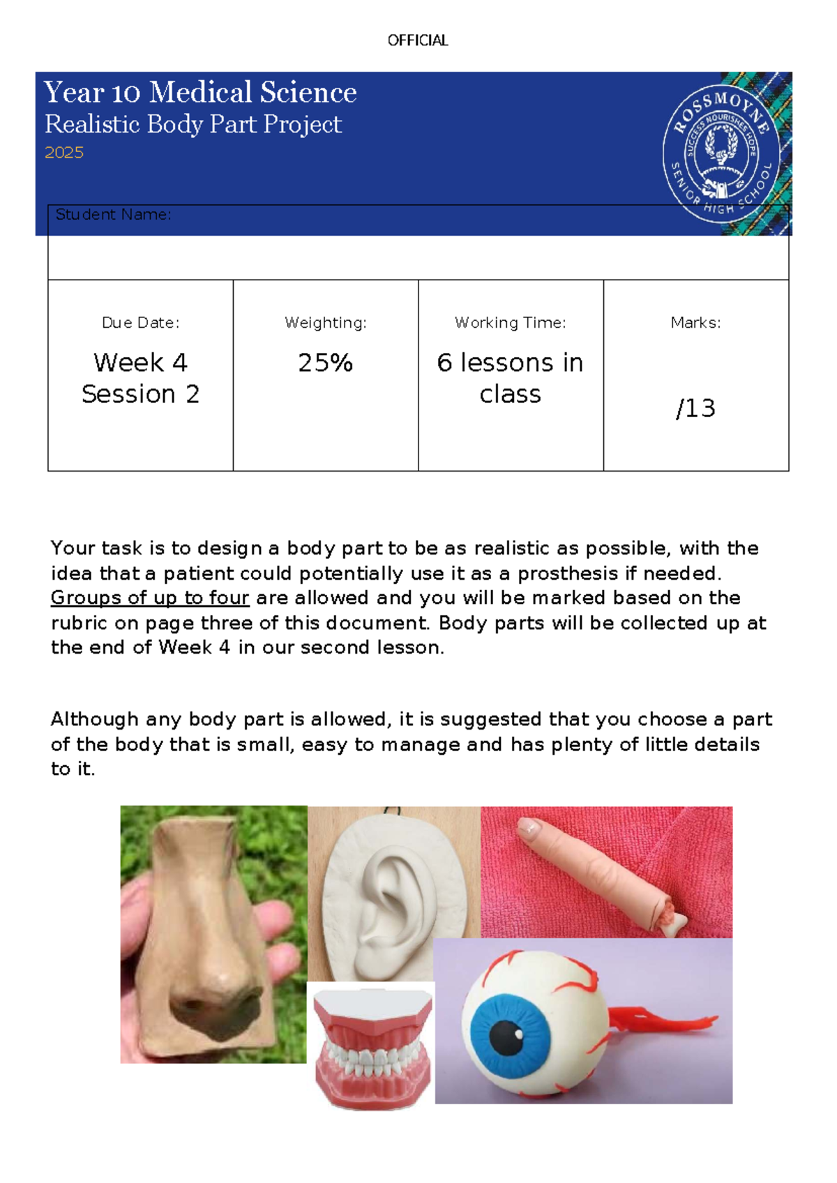 Year 10 Medical Science: Model Body Part Project Task Sheet - Studocu