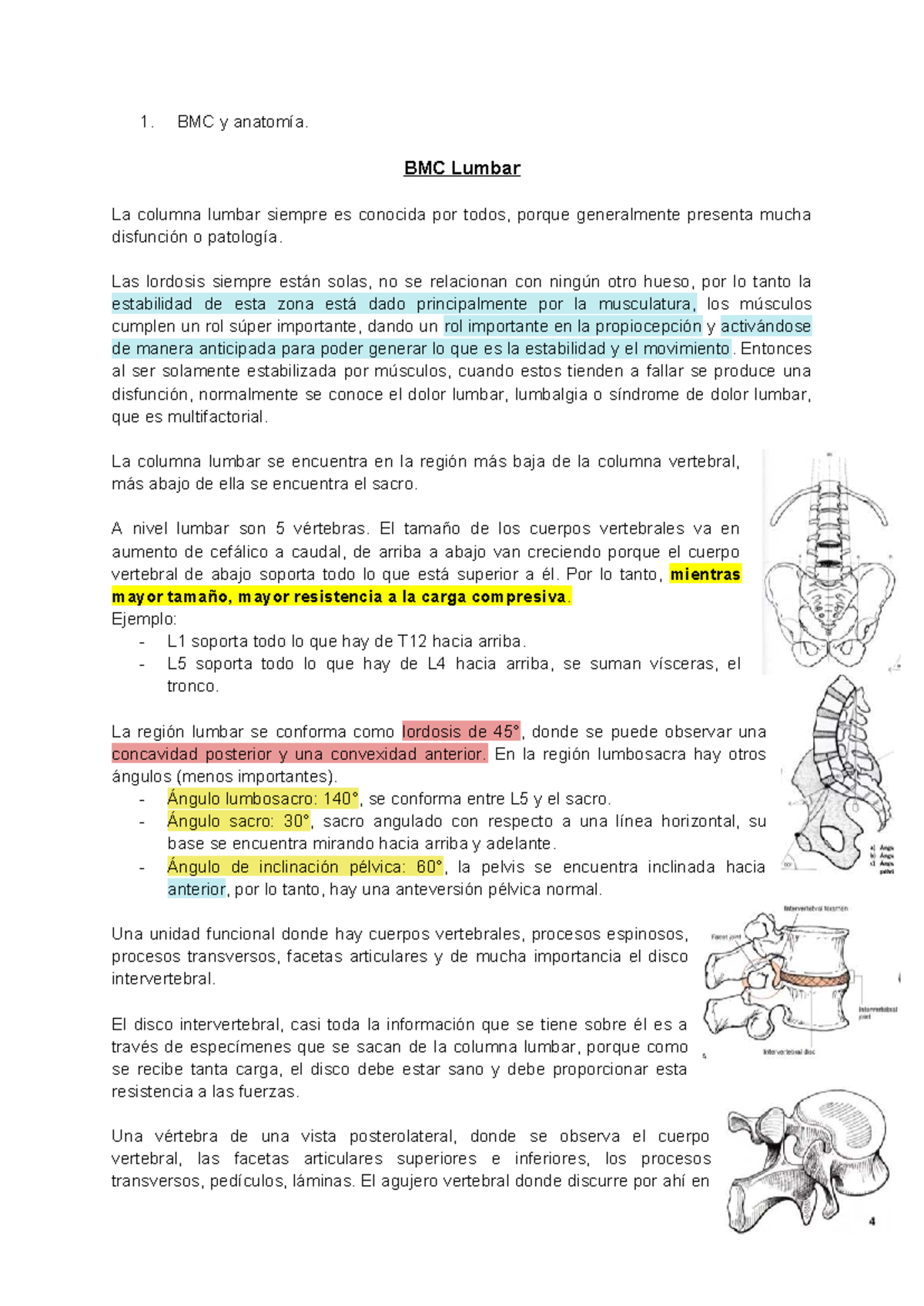 Estudio sobre la Anatomía y Función de la Columna Lumbar - OBJS - Studocu