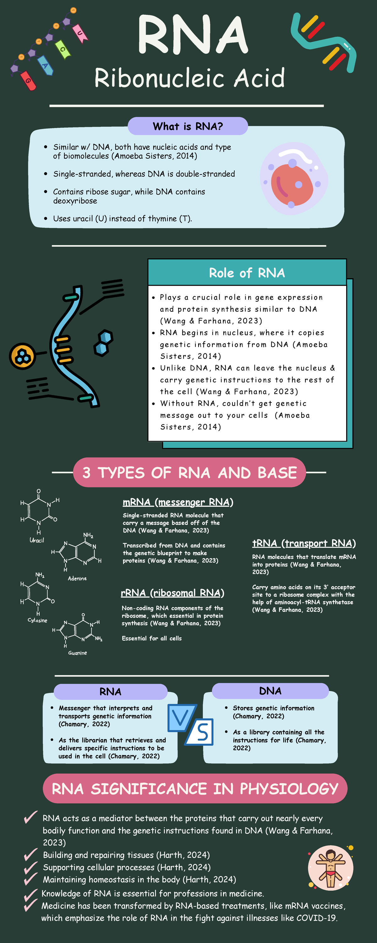 RNA Infographic - What is RNA? Role of RNA RNA DNA 3 TYPES OF RNA AND ...