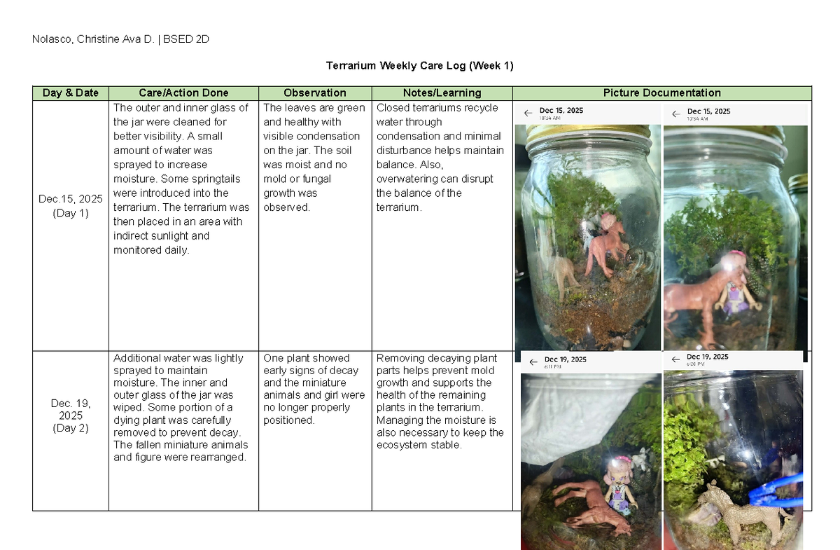BSED 2D Terrarium Weekly Care Log - Week 1 Observations - Studocu